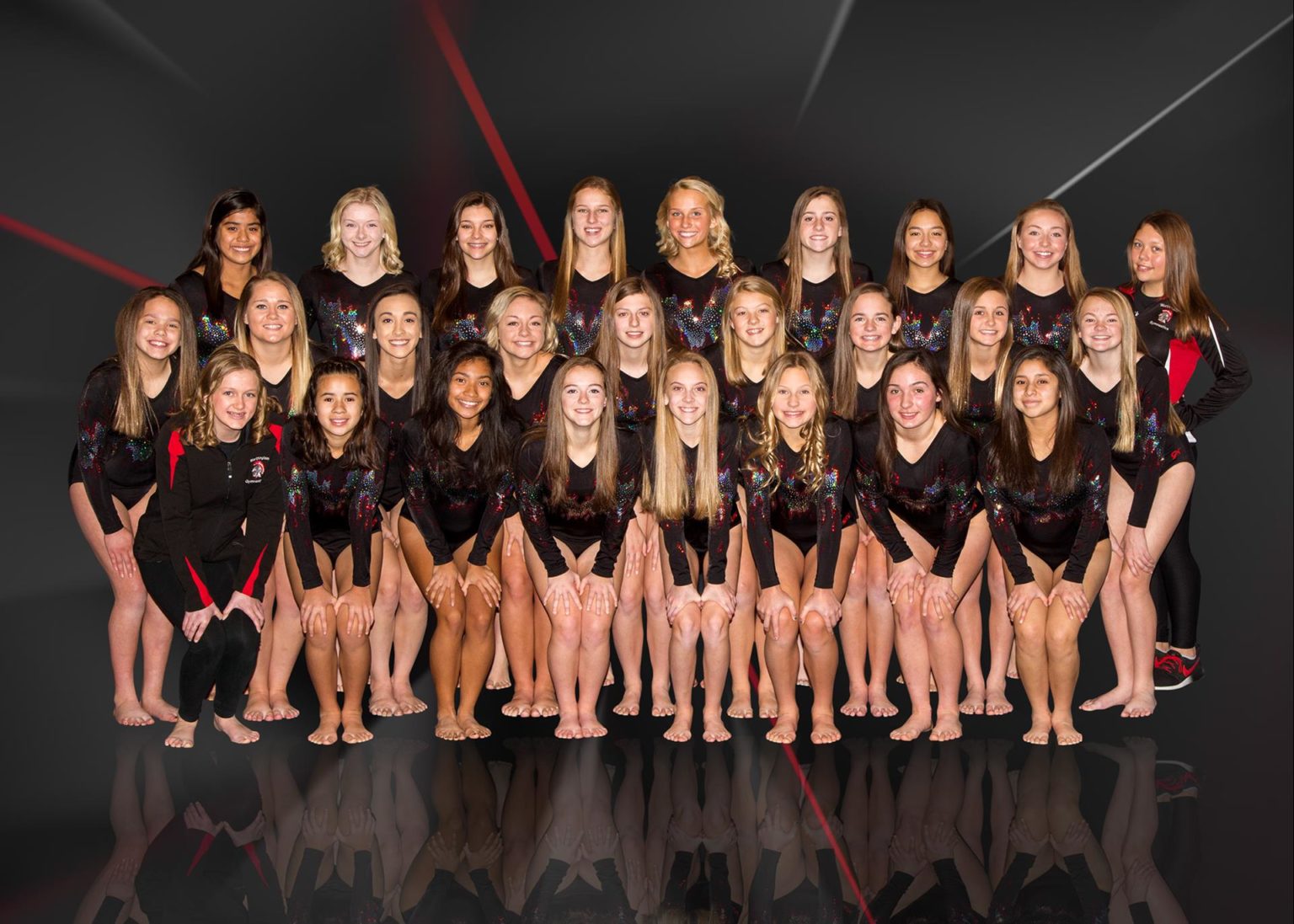 Gymnastics – Independent School District 518