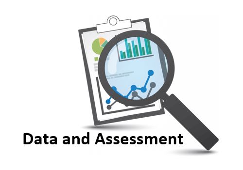 Data & Assessment – Independent School District 518